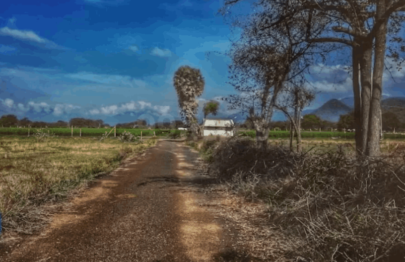 Land Sale in Coimbatore Thondamuthur | Vadavalli | Green Home Western Welsh